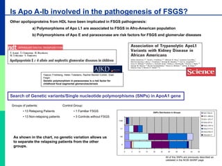 A form of Apolipoprotein A-I is a potential biomarker of focal ...