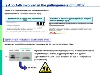 A form of Apolipoprotein A-I is a potential biomarker of focal ...