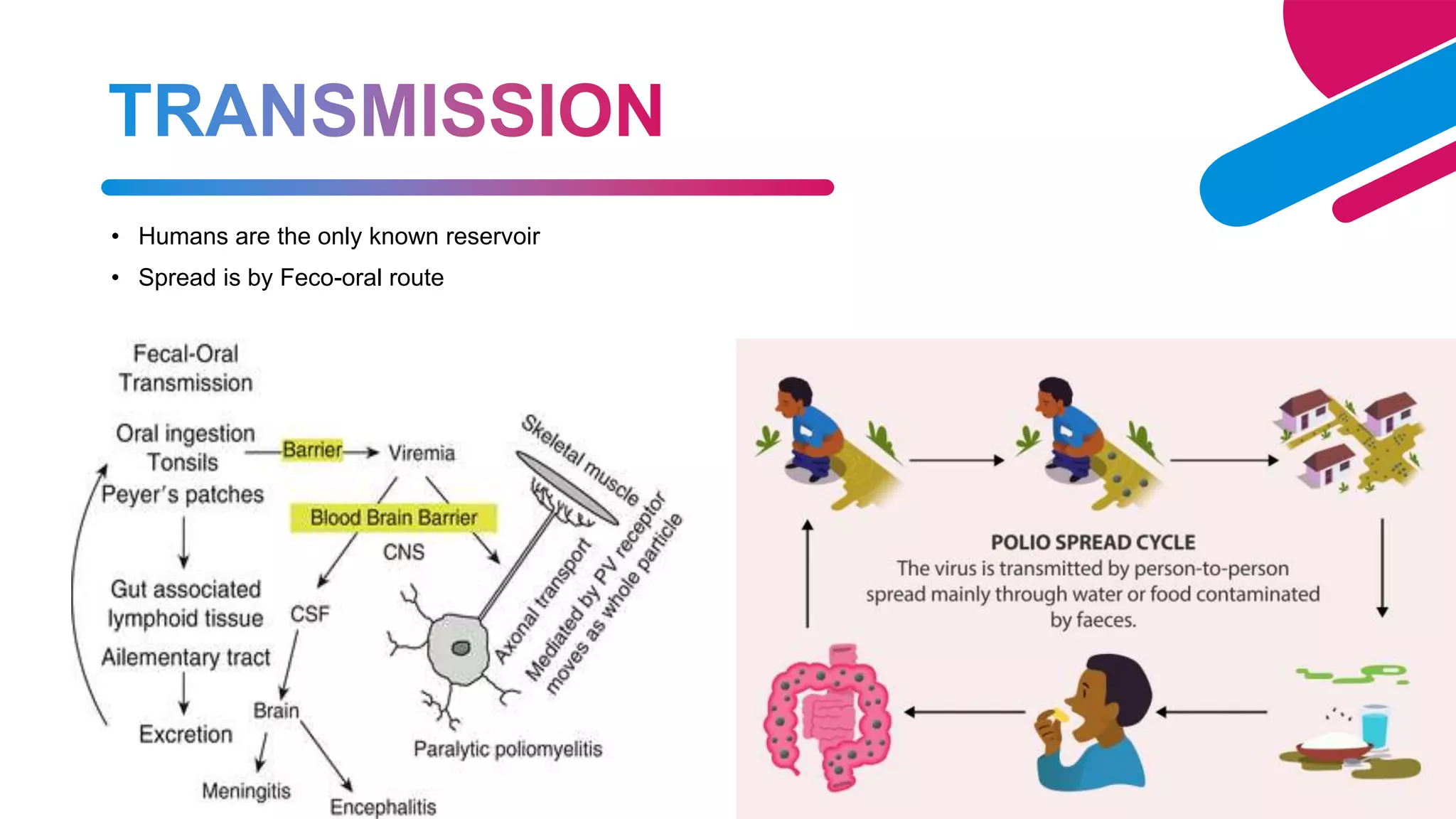 Acute flaccid paralysis , Polio , Transverse myelitis, AFP survillence ...