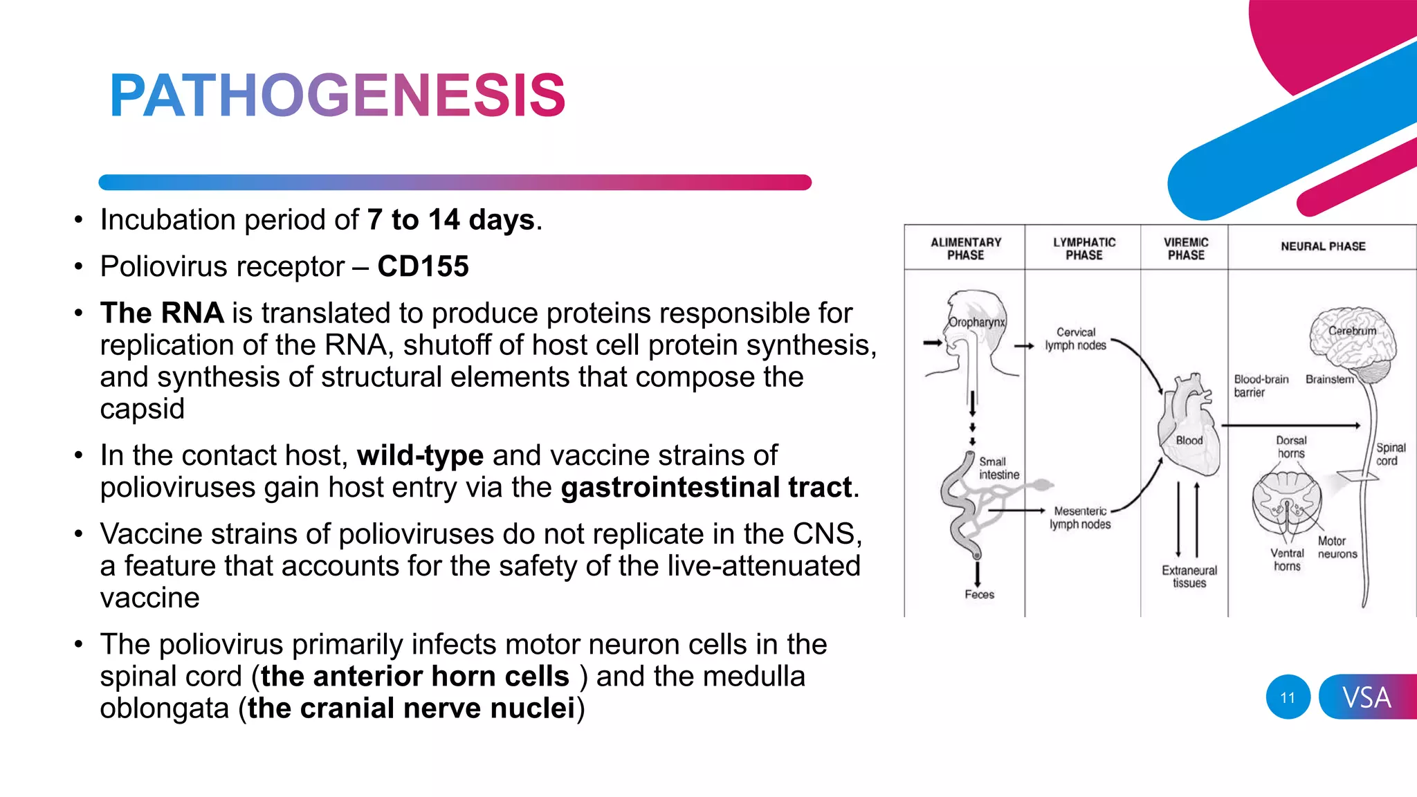 Acute flaccid paralysis , Polio , Transverse myelitis, AFP survillence ...