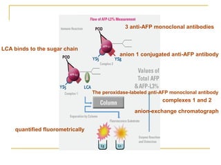 AFP-L3% : IS IT AN EARLY MARKER FOR HCC ? | PPT
