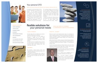 AFP CFO Service And Bio Brochure 2010 | PDF