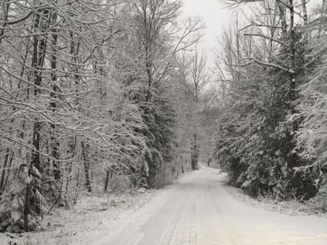 The Science of Story | PPT