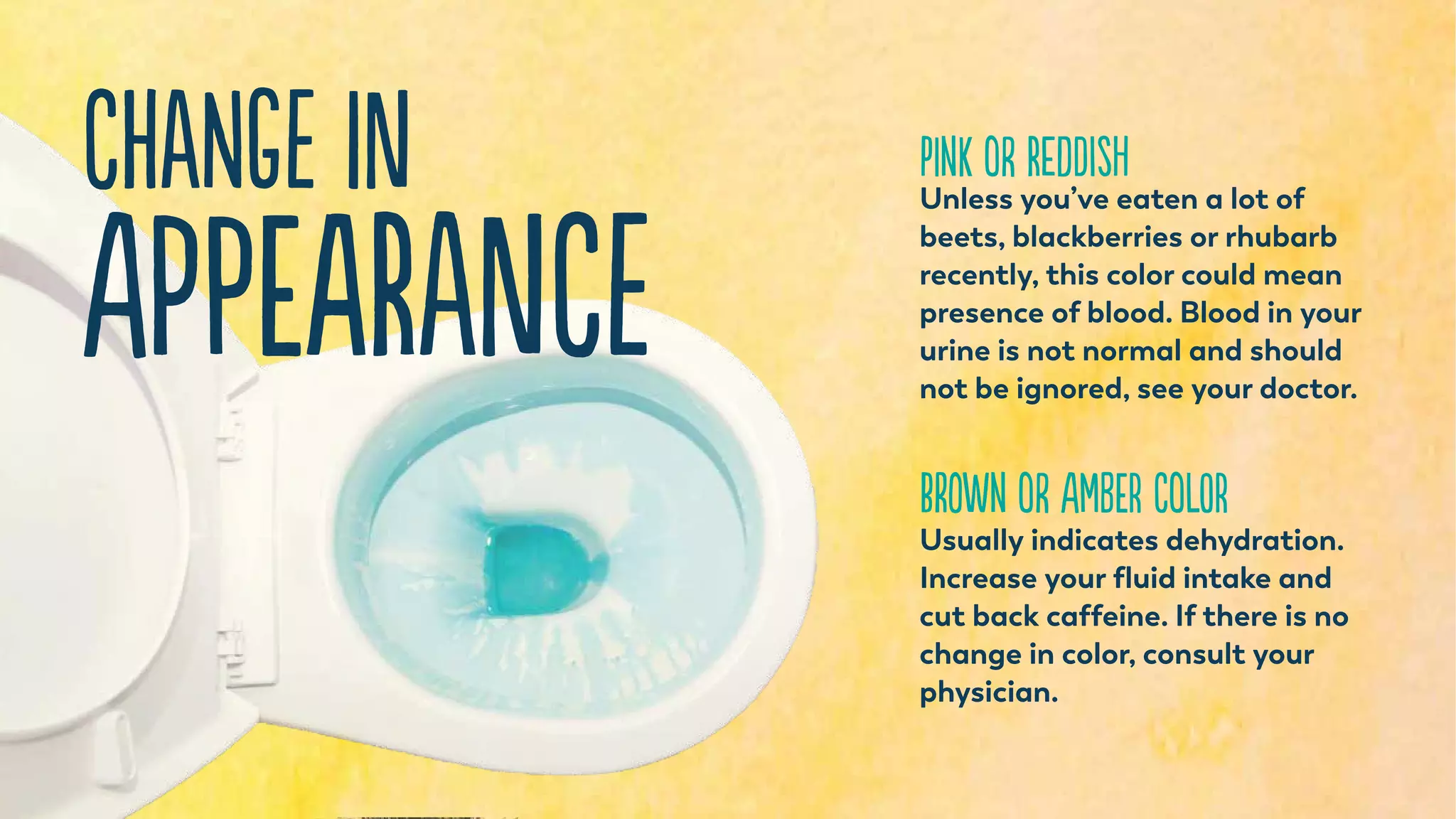 Afraidto ask urinaryissues_infographic | PDF | Medical Health