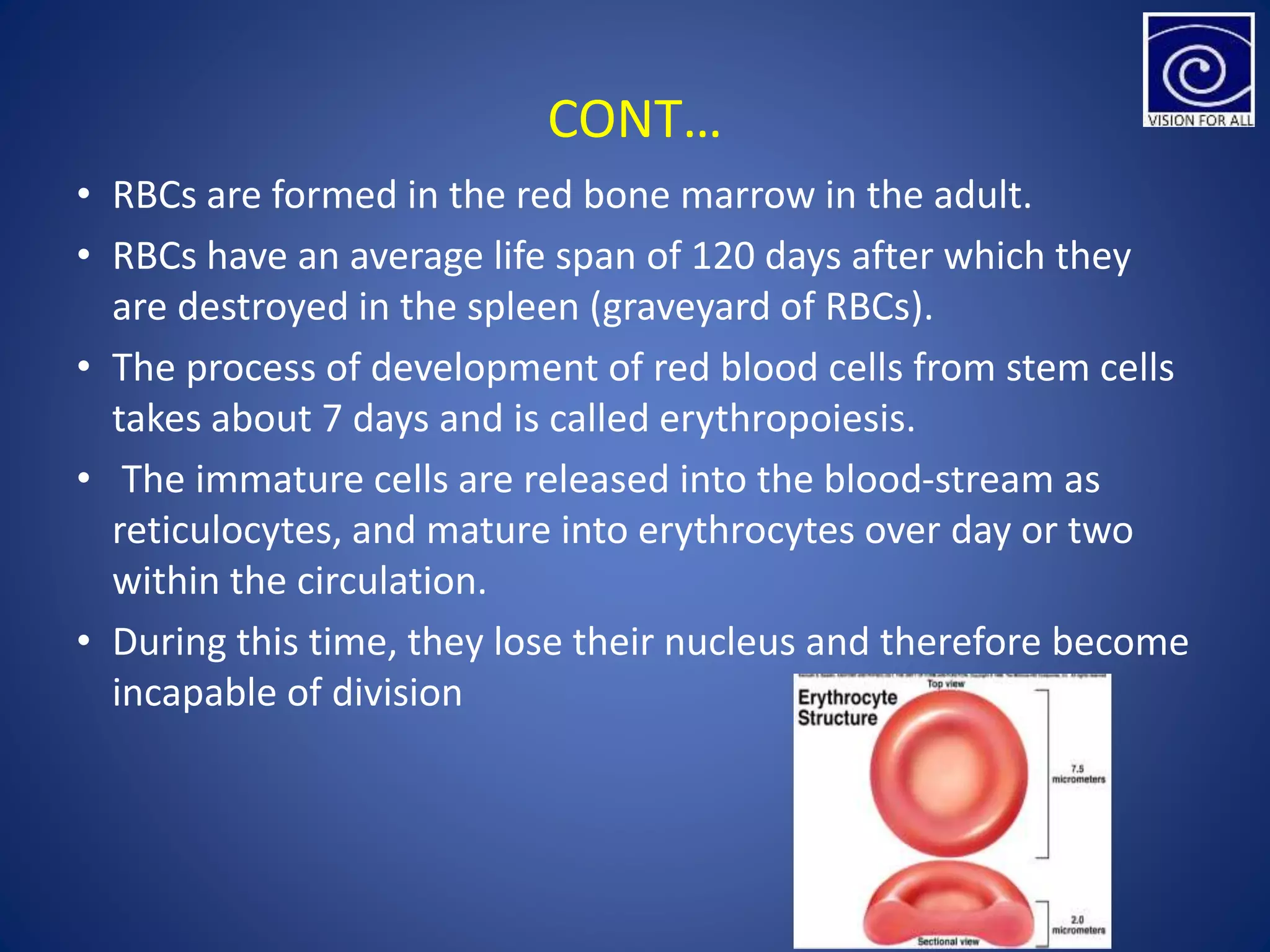 Blood Erythrocytes (red blood cells) Leukocytes (white blood cells ...