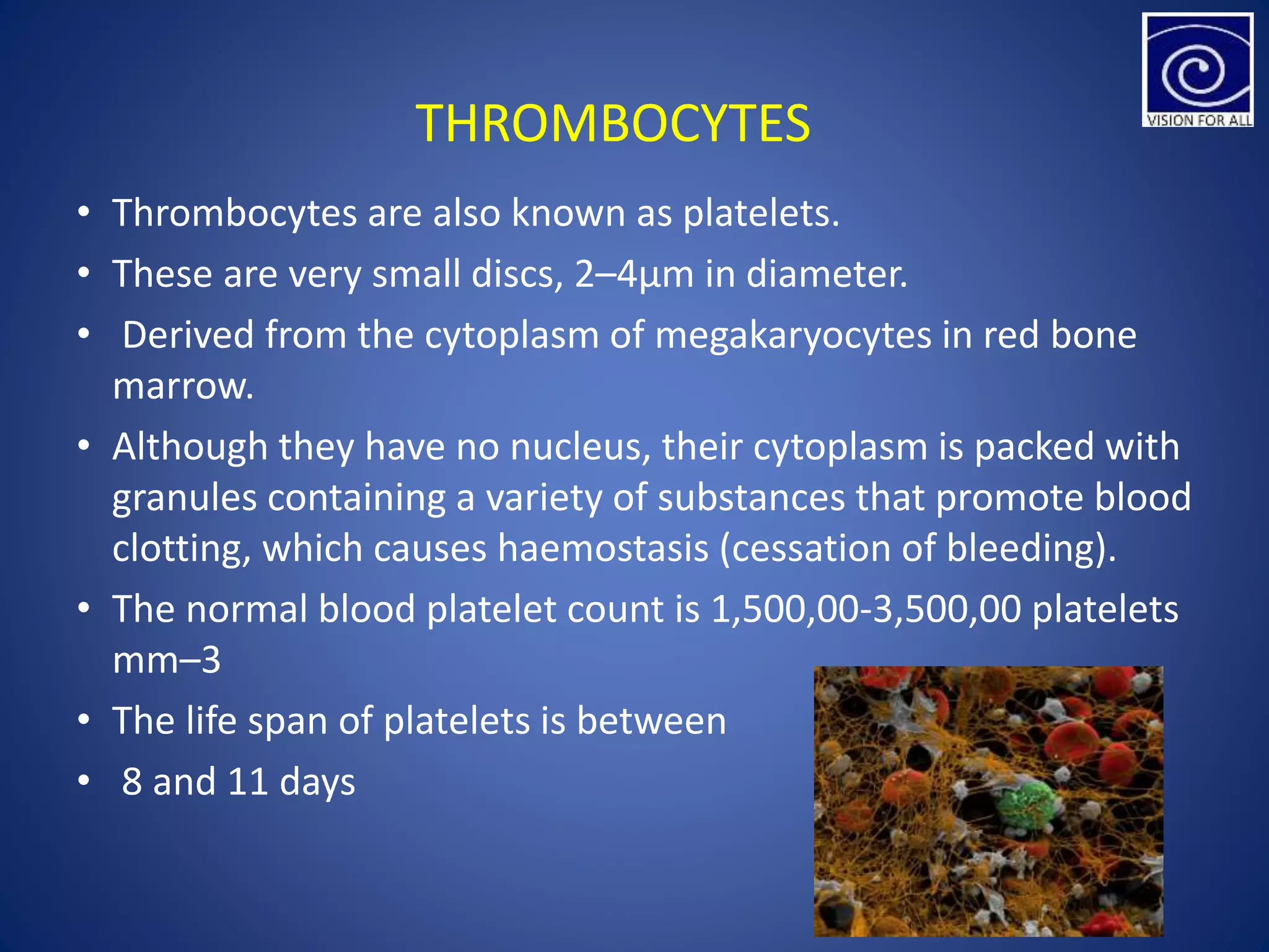 Blood Erythrocytes (red blood cells) Leukocytes (white blood cells ...
