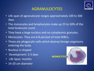 Blood Erythrocytes (red blood cells) Leukocytes (white blood cells ...