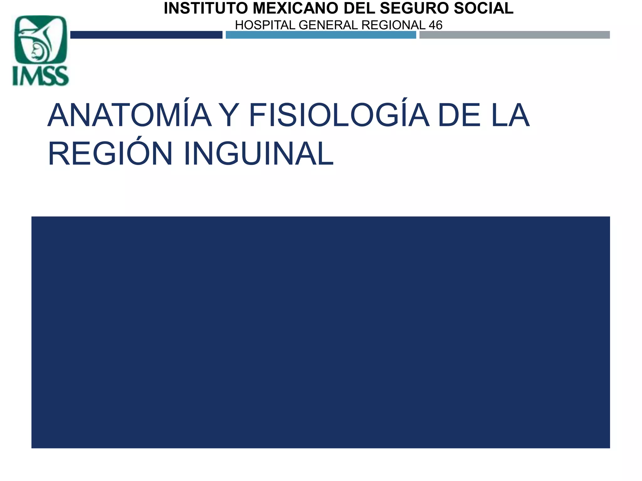 Anatomia y fisiologia de la region inguinal | PPTX