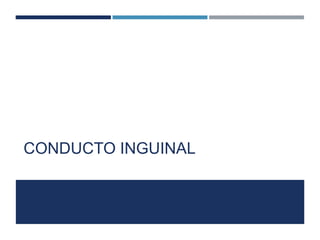 Anatomia y fisiologia de la region inguinal | PPTX