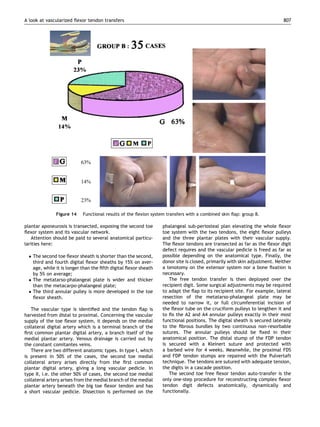 A fresh look at vascularized flexor tendon transfers | PDF