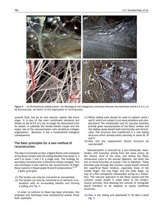 A fresh look at vascularized flexor tendon transfers | PDF