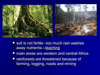 Africa climate and vegetation | PPT