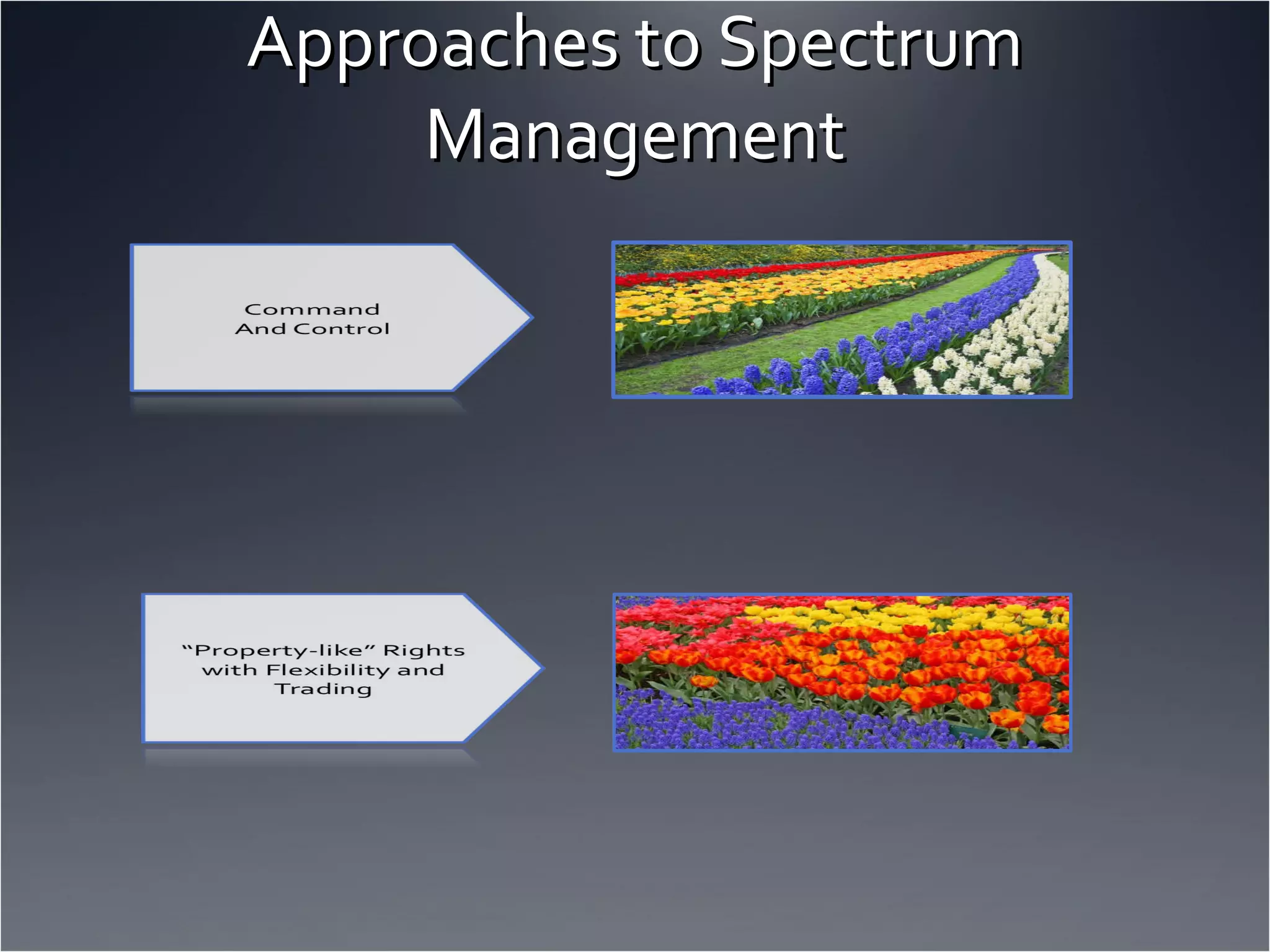 Spectrum Auctions: Lessons from Around the World | PPTX
