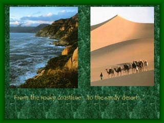 Africa, Land Of Contrasts | PDF