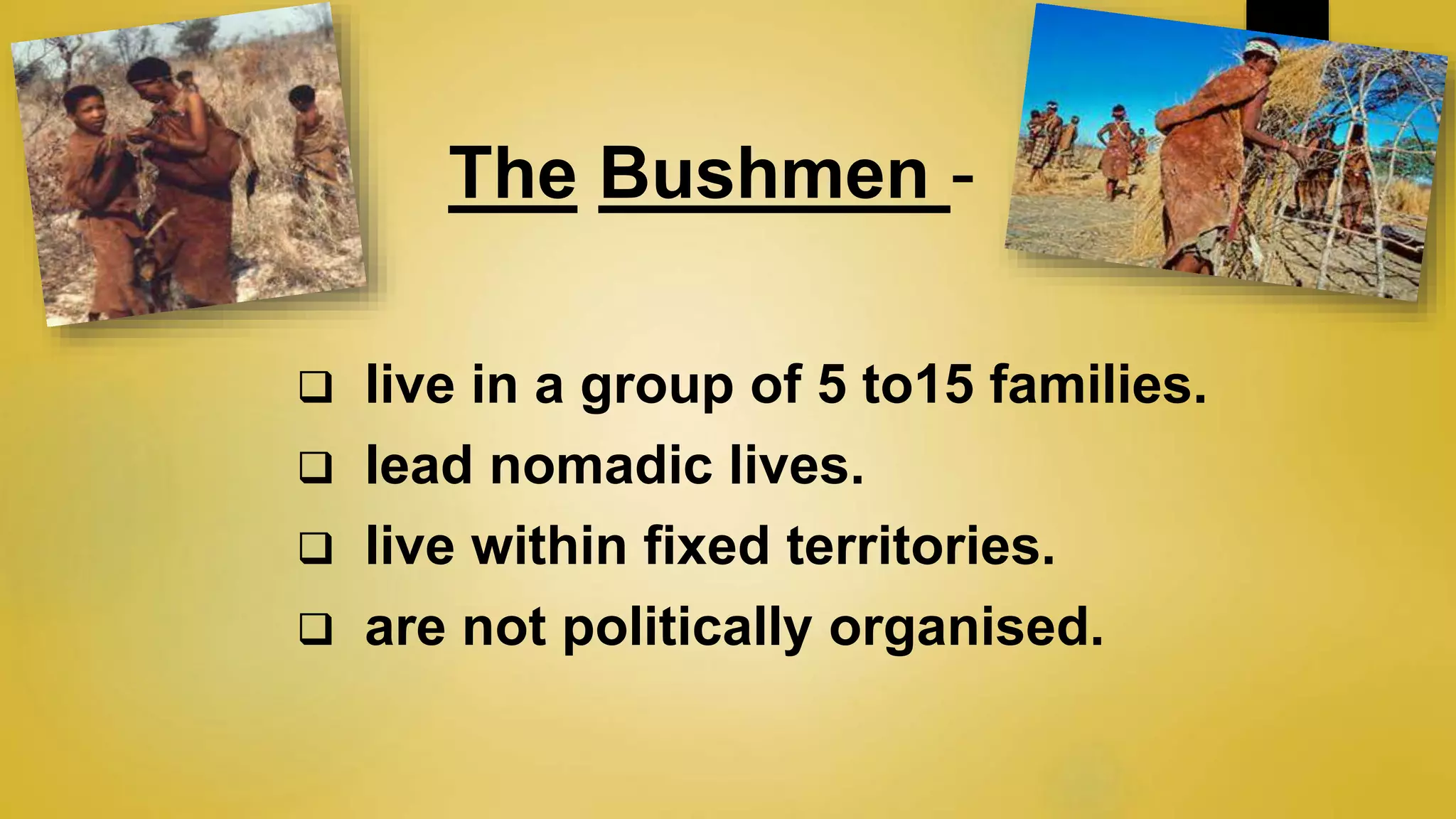 Africa , life of bushmen | PPTX