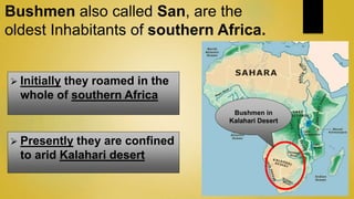 Africa , life of bushmen | PPTX