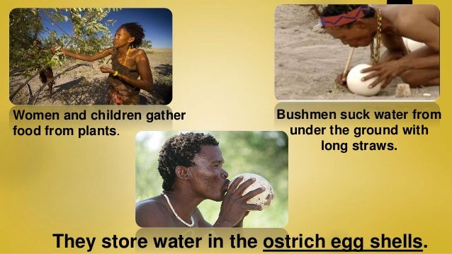 Africa , life of bushmen