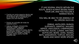 Africam safari | PPSX