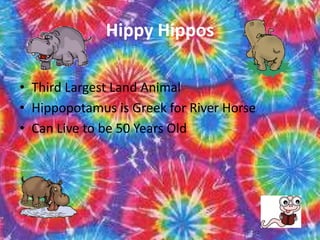 African Animals | PPTX