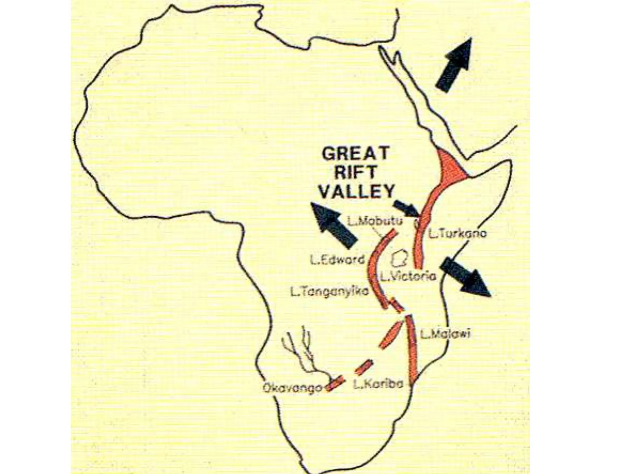 Rift Valley formation.pptx