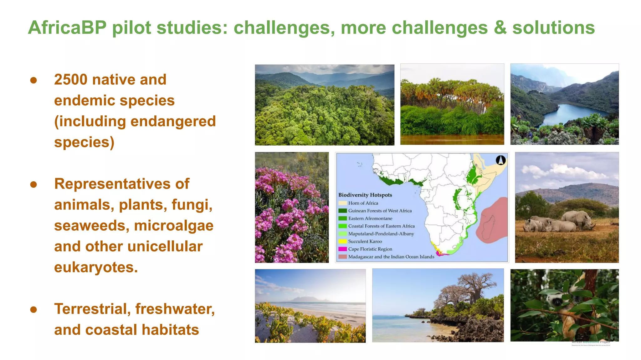 African BioGenome Project (AfricaBP) slide v4.0 - 2021 | PDF