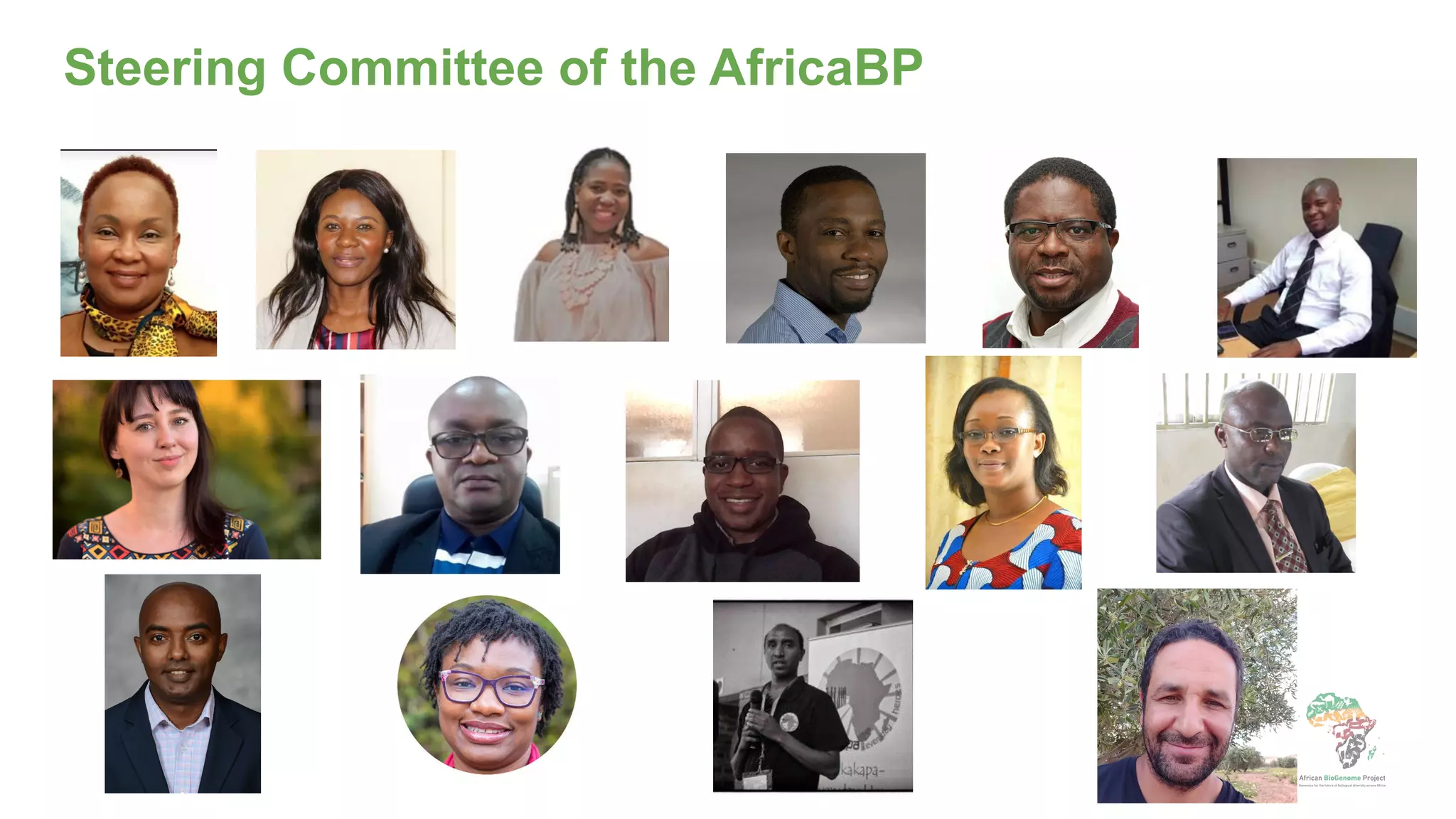 African BioGenome Project (AfricaBP) slide v4.0 - 2021 | PDF