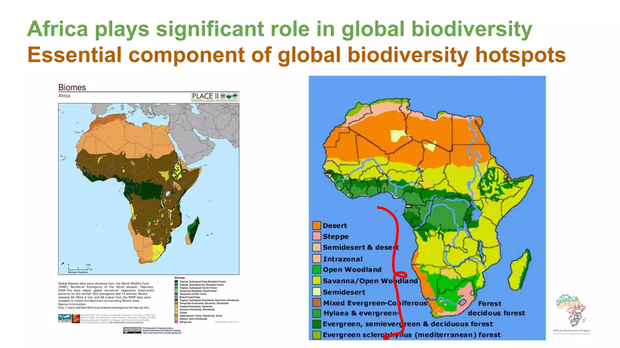 African BioGenome Project (AfricaBP) slide v4.0 - 2021 | PDF