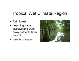 African Climate | PDF