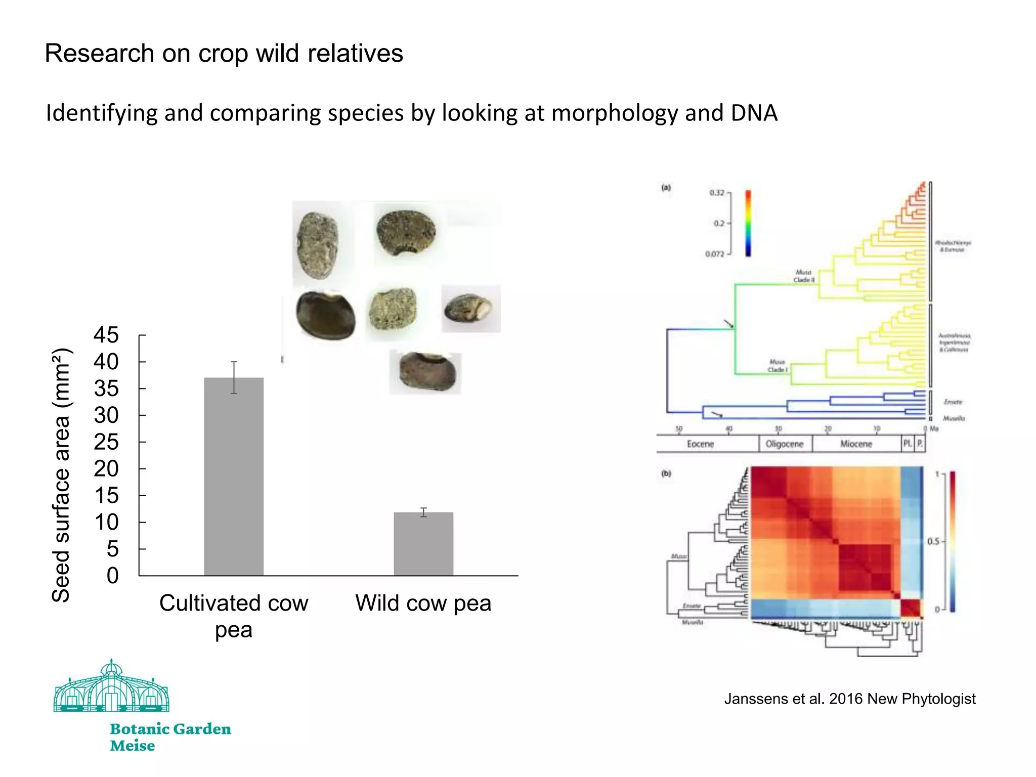 Exploration and conservation of crop wild relatives | PPTX