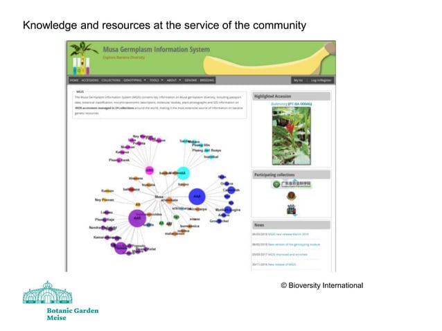 Exploration and conservation of crop wild relatives | PPT