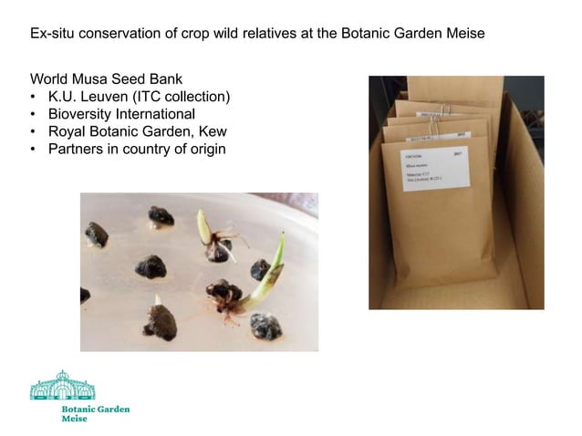 Exploration and conservation of crop wild relatives | PPT