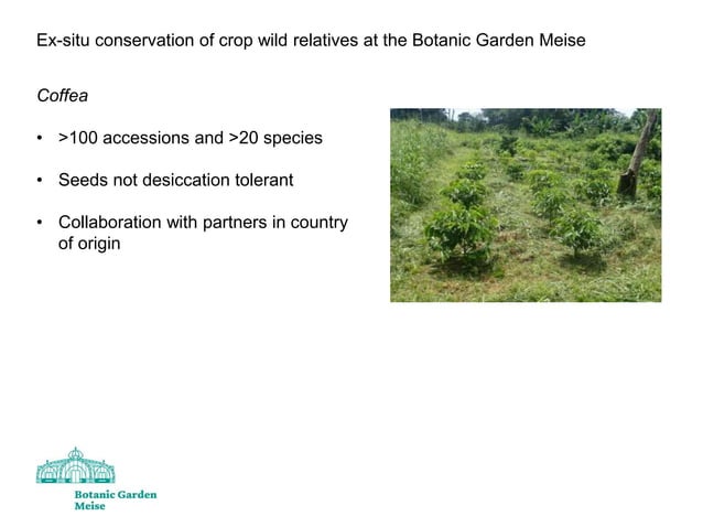 Exploration and conservation of crop wild relatives | PPT