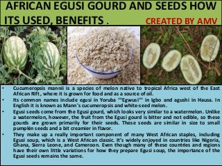 AFRICAN EGUSI GOURD AND SEEDS HOW ITS USED.pdf