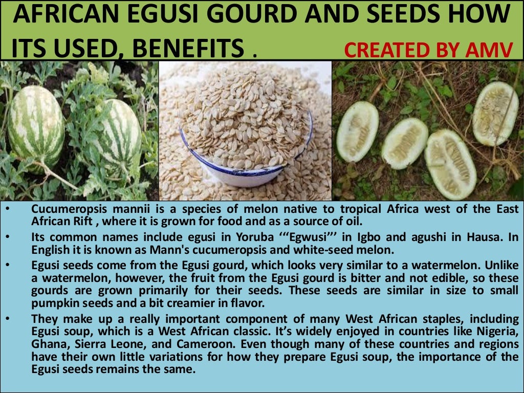 AFRICAN EGUSI GOURD AND SEEDS HOW ITS USED.pdf