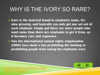 African elephant powerpoint | PPTX