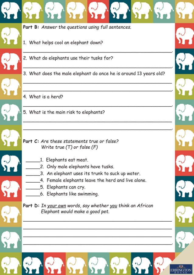 African Elephants | PDF