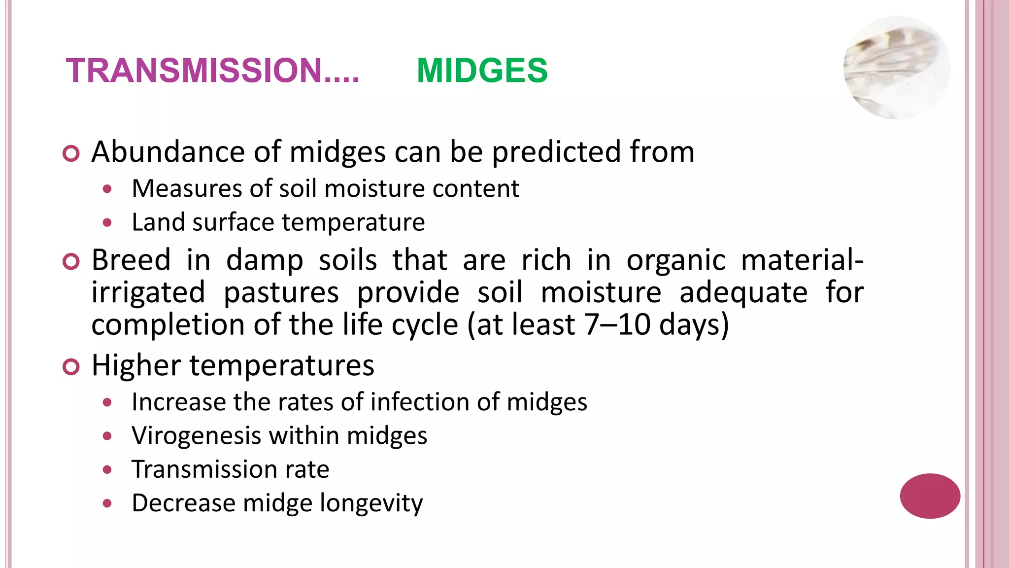 African horse sickness | PPTX