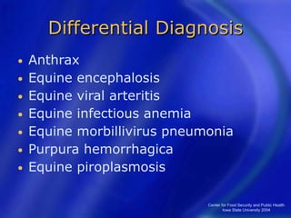 AFRICAN HORSE SICKNESS( Perdesiekte, pastes , quorum, la peste equina ...