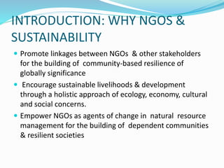 How Can NGOs Contribute to the SDGs? | PPTX