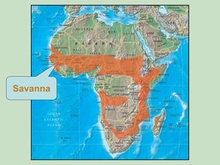 African political and physical map | PPT