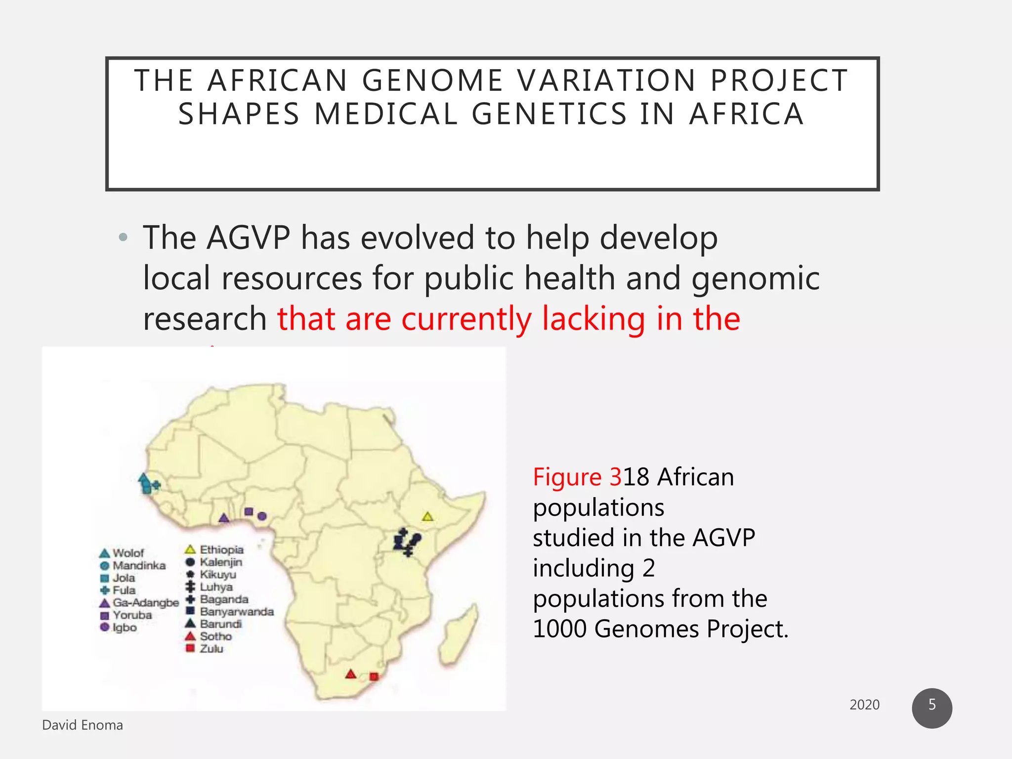 African population genetics | PPTX