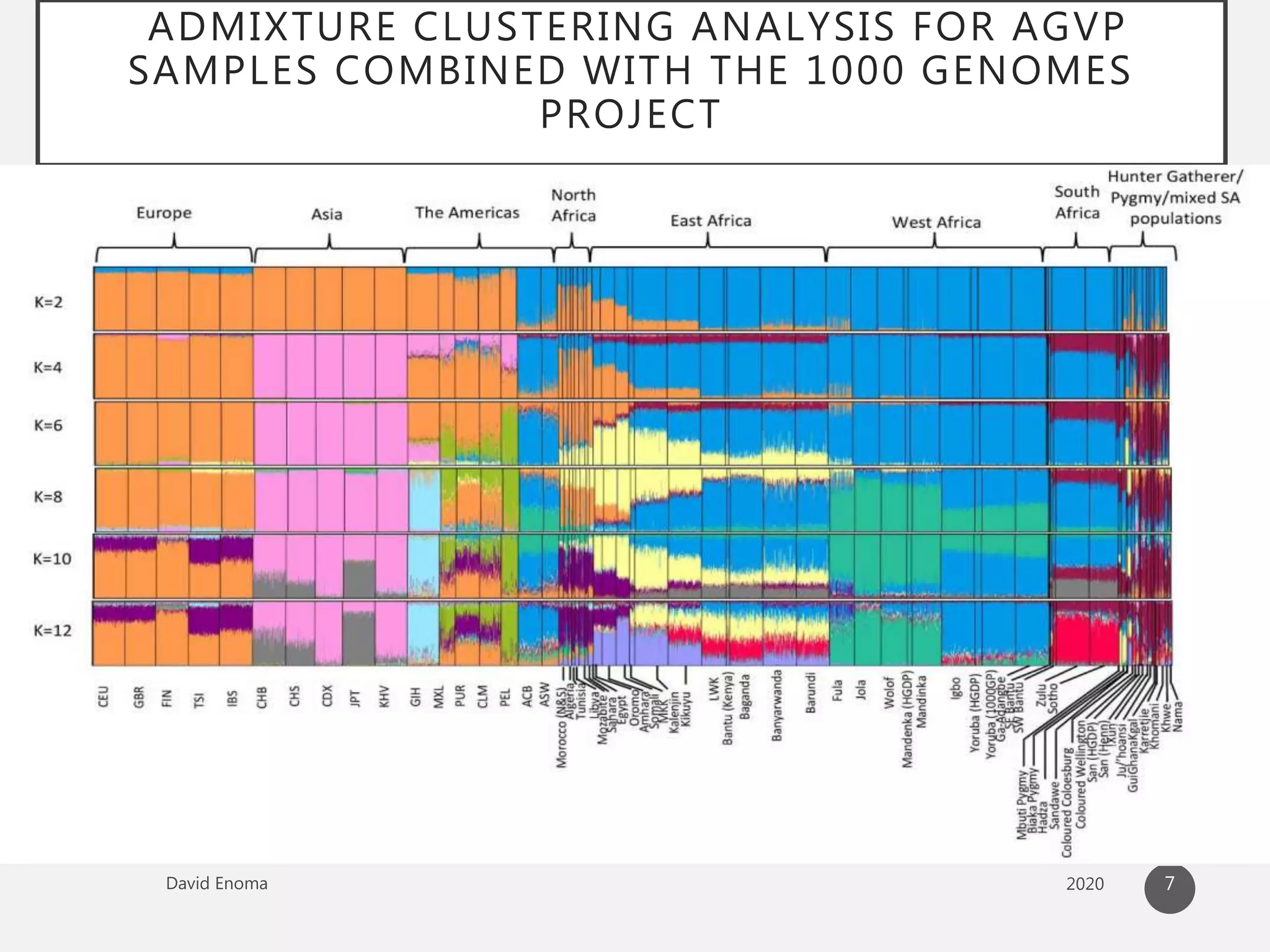 African population genetics | PPT