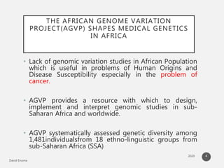 African population genetics | PPT