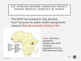 African population genetics | PPT