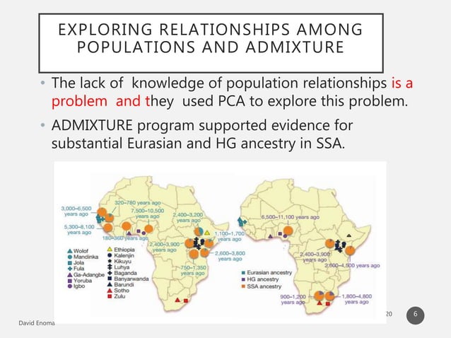 African population genetics | PPT