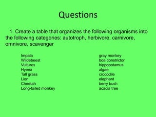 African Safari Food Web Project | PPT