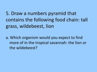 African Safari Food Web Project | PPT