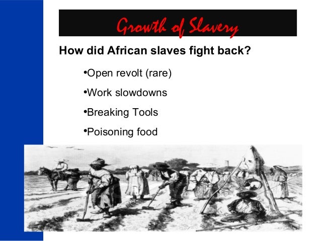 Slaves Fight Back