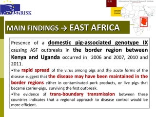 African swine fever (ASF) in Africa: Main activities 2004-2011 | PDF