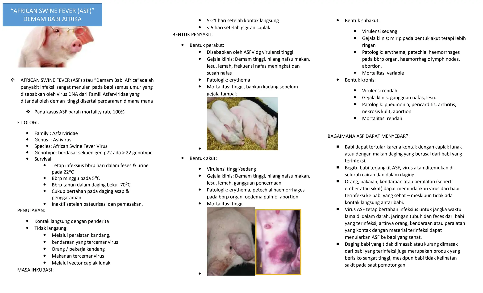 African Swine Fever1 Leaflet (cont).docx